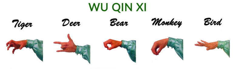 What is Health Qi Gong? – JI HONG TAI CHI & QI GONG MISSISSAUGA