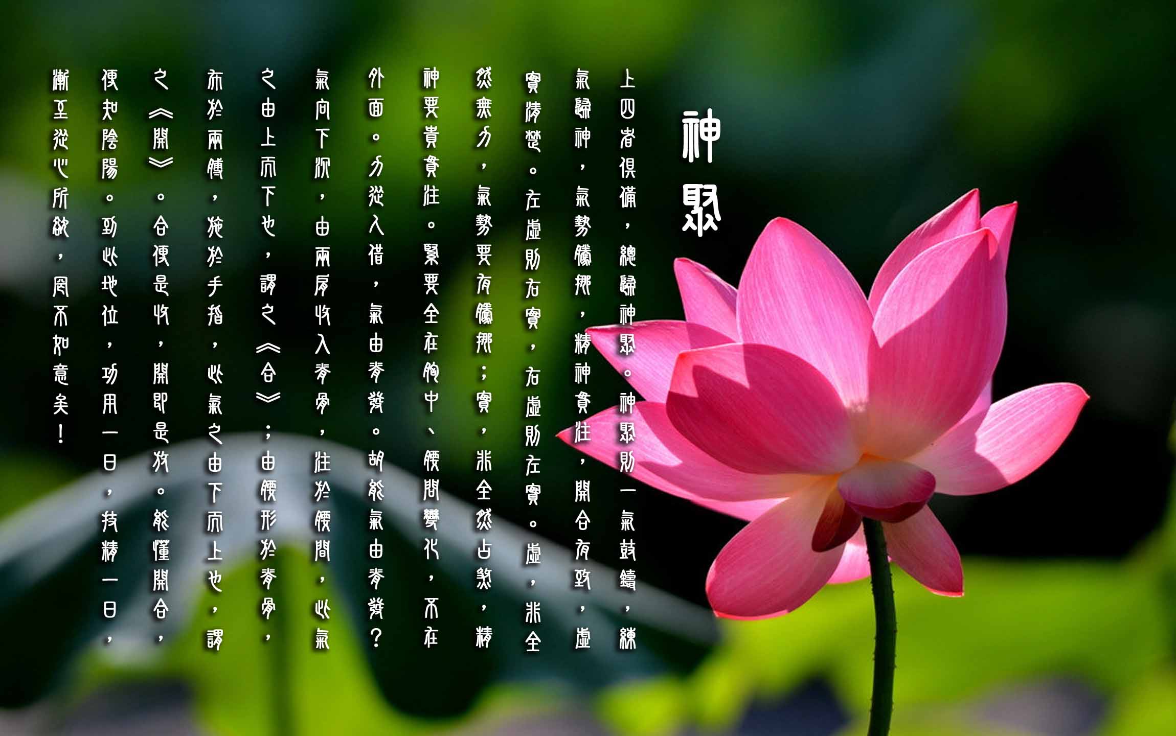 Vital Energy Focused 神 聚 - JI HONG TAI CHI & QI GONG MISSISSAUGA