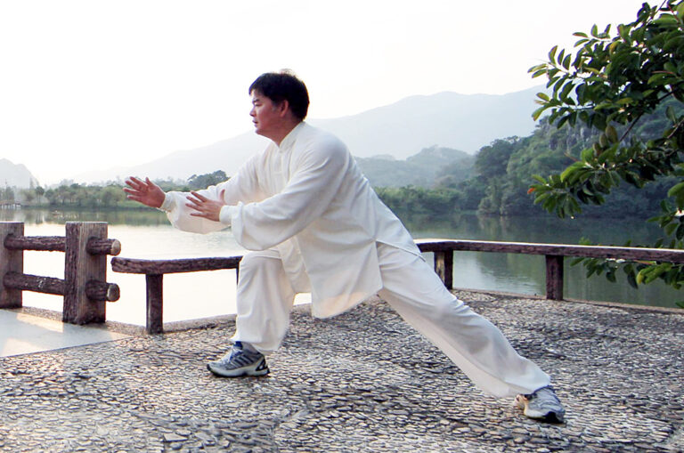 What is Wu Style Tai Chi? – JI HONG TAI CHI & QI GONG MISSISSAUGA
