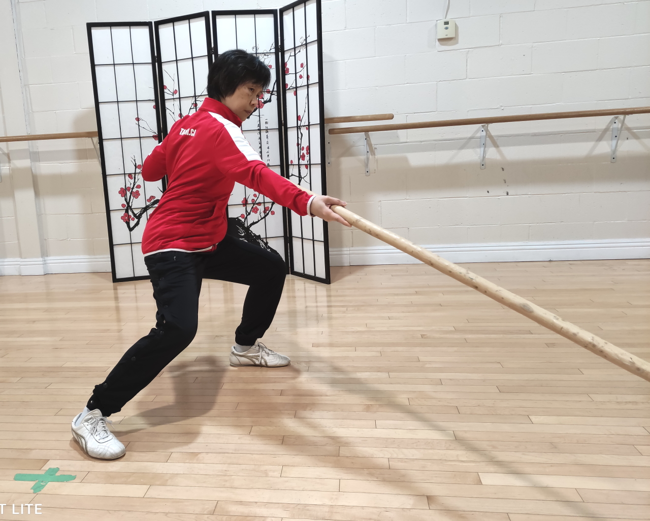 Long Pole exercises for Tai Chi training – JI HONG TAI CHI & QI GONG ...